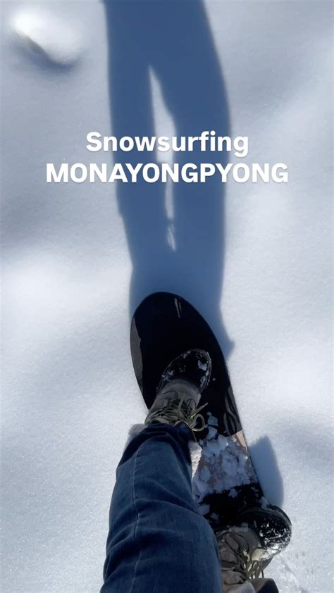 스노서핑 스키 보드 서핑 1월 24일 국내최초 스노서핑 용평파크 개장 스노서핑 모나용평 스노서핑용평파크