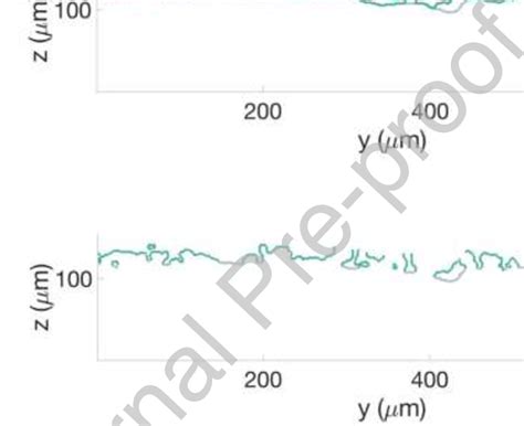 A A Cross Section On The Y Z Plane Of The Microstructure