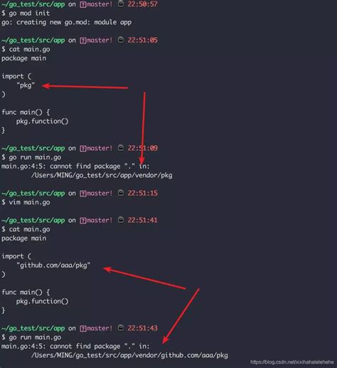 Go 通过 Import 导入包go Import Csdn博客
