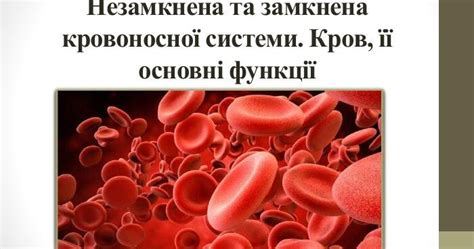7 клас Практична робота №4 Порівняння будови кровоносної системи хребетних тварин Тест на
