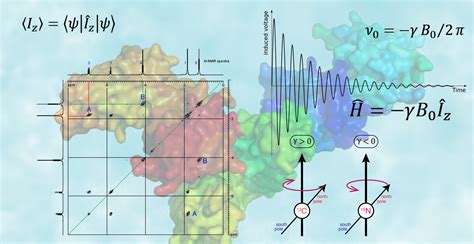 Structure Dynamics And Interactions In Biomolecular Systems Using NMR Spectroscopy