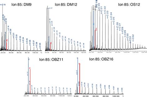 Mass Chromatograms Showing The Distribution Of N Alkane And Iso Alkanes