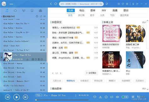 Qt优秀开源项目之五TTKMusicplayer CSDN博客