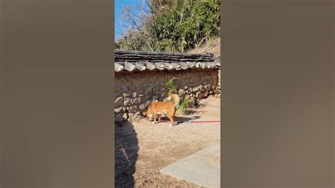 자러 가는 길 Youtube