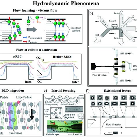 Hydrodynamic Methods Of Separation A The Implied Forces In A