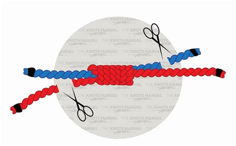 Nail Knot Vs Surgeon S Knot At Jamie Rooke Blog