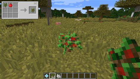 Apple Trees 1112 Minecraft Mods