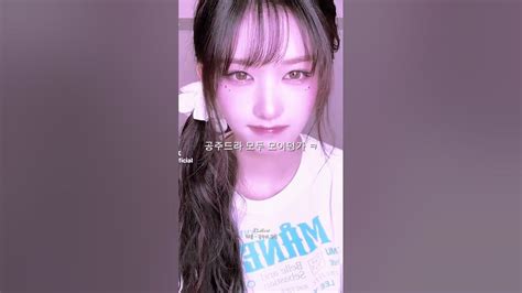 이서공주의 규칙 템플릿 출처 한별 youtube