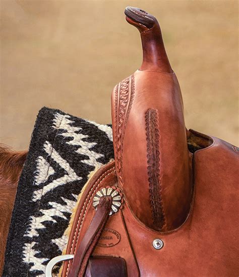 Roping Saddle Horn