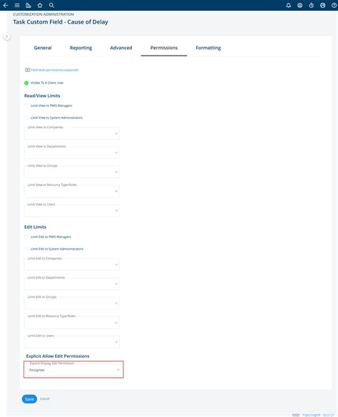 Can Project Resources Edit Custom Fields Project Insight Help Center