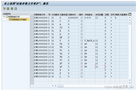 Sap Hcm权限控制浅析 Csdn博客