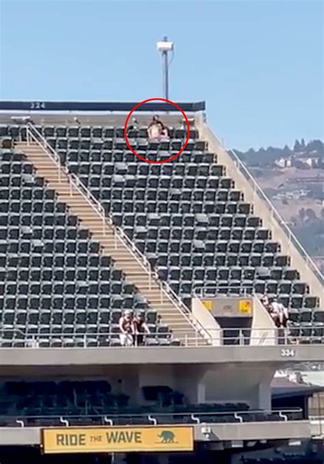 Cops Release Photo Of Couple In Alleged Sex Act At As Game