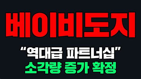 베이비도지 역대급 파트너십 발표 소각량 증가 확정 소문 전 바닥 풀매수 들어가자 Youtube