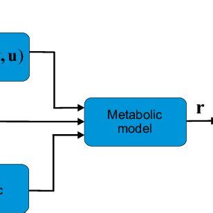 Hybrid Model Structure Download Scientific Diagram