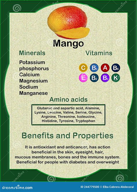 Mango And Its Health Benefits Stock Illustration Illustration Of