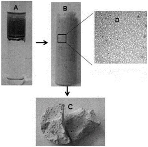 Preparation Method Of Magnetic Porous Molecularly Imprinted Polymer Eureka Patsnap