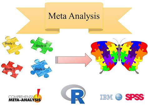 Do Meta Analysis With Cma Spss And R By Azin38 Fiverr