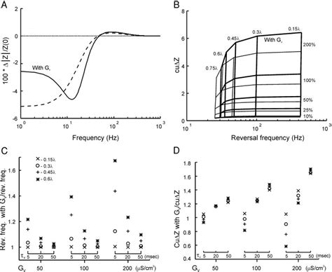 Effect Of Voltage Dependent Conductances On Reversal Frequency And Cuz