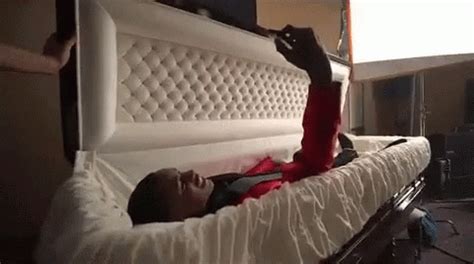 Dracula Sleeping In Coffin 