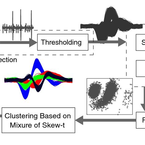 spike sorting with correlated and both uncorrelated and correlated