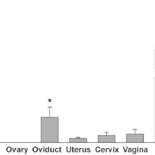 Relative Amount Of SP D MRNA In Mouse Female Reproductive Tissues As Download Scientific