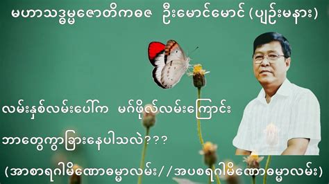 💥လမ်းနှစ်လမ်းပေါ်က မဂ်ဖိုလ်လမ်းကြောင်းဘာတွေကွာခြားနေပါသလဲ💥 Youtube