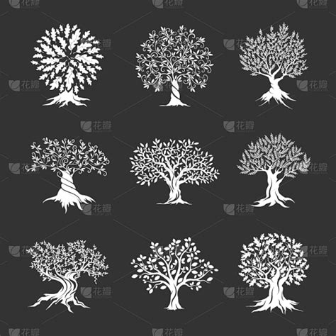 自然美 橡树 传统 品牌名称 植物 木制 标签 有机食品 剪影