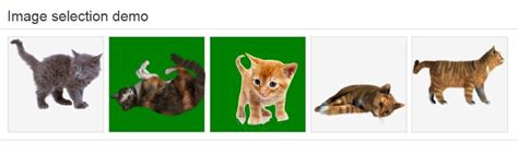 Making Your Items Selectable With Angular Multiple Selection Module