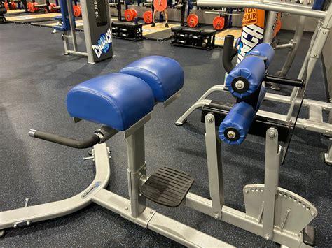 Nordic Hamstring Curl Everything You Need To Know