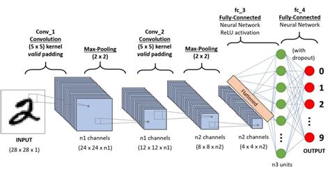 Introduction To Convolutional Neural Networks Cnns