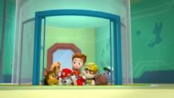 Paw Patrol Season 1 Episode 15 By Karllthorn On Deviantart