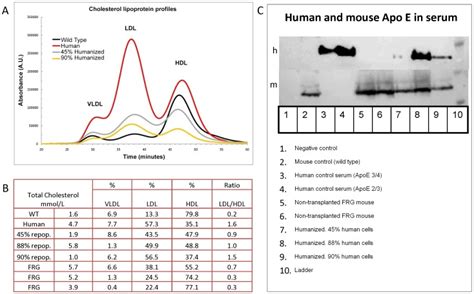 A Serum Cholesterol Lipoprotein Profiles Measured By Size Exclusion Download Scientific