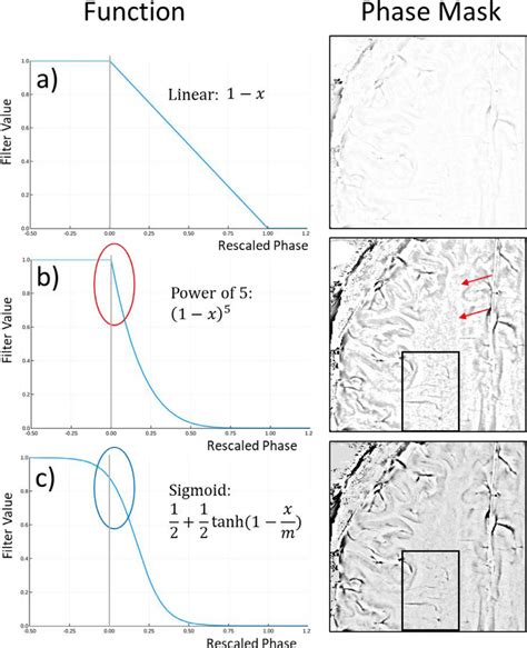 A Comparison Of Phase Masking Functions Described In The Text The