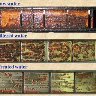 Coupons After Exposure Download Scientific Diagram