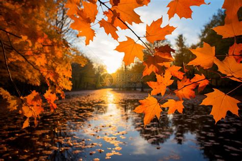 秋天的美景高清图片下载 正版图片600492701 摄图网
