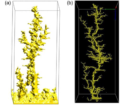 Comparison Of A The Wormhole Structures Simulated Using The Presented