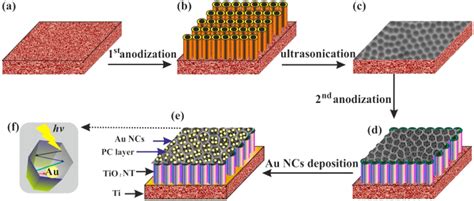 Schematic Diagram Of The Autio2 Nanotubes Photonic Crystal Ntpc Download Scientific Diagram