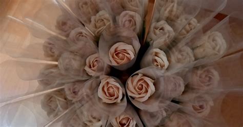 장미 비누꽃 핑크 장미와 베이지 장미 이벤트 프로포즈 선물 축하 등 개포1동 가구인테리어 당근 중고거래