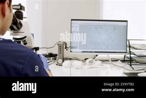 Scientist In Sperm Laboratory Lab Worker Is Regulating A Microscope During Research Analyze