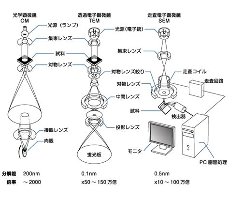 tem 構造 sem tem 比較 Etcyou