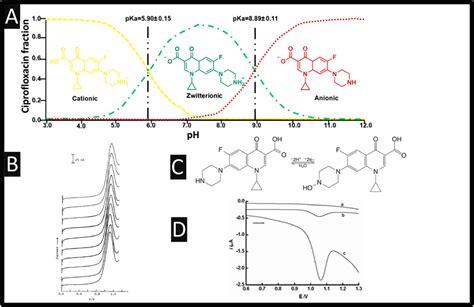 A Differential Pulse Voltammetry Of 50 μm Ciprofloxacin On Bdd Download Scientific Diagram