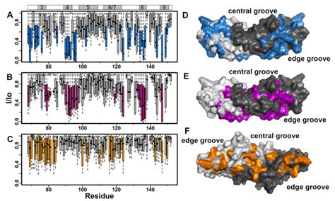Hspb5 Ntr Derived Synthetic Peptides Interact With Acd Grooves