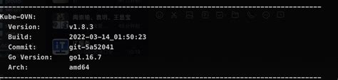 dockerhub 中 v 的镜像拉下来启动之后内容却是v 的 Issue kubeovn kube ovn GitHub