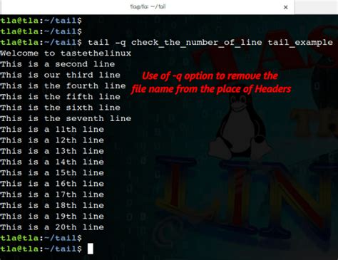 Tail Command In Linux With Examples Taste The Linux