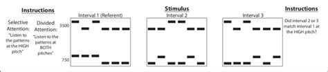 example trial in the combined presentation pattern discrimination task