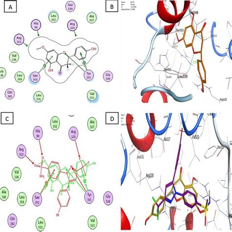 Docking And Binding Pattern Into Cox 2 Active Site Pdb 1cx2 Of Target