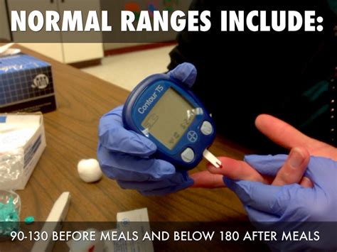 How To Use A Glucometer By Alexandra Miller