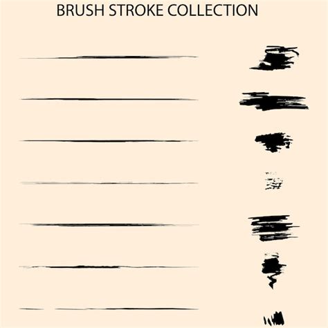 브러시 스트로크 컬렉션 프리미엄 벡터