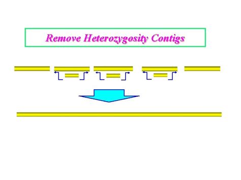 Assembly Scaffolding Using String Graphs And In Silico