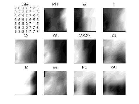 Map Of Cluster Prototypes Obtained By Regularized Fcm With
